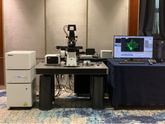 Nikon新一代共聚焦AX/AXR发布为高效科研赋能_非常在线